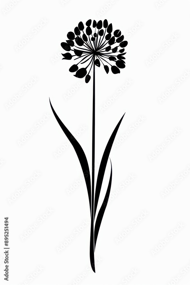 Black and white flat vector art of a chive flower, svg style, isolated ...