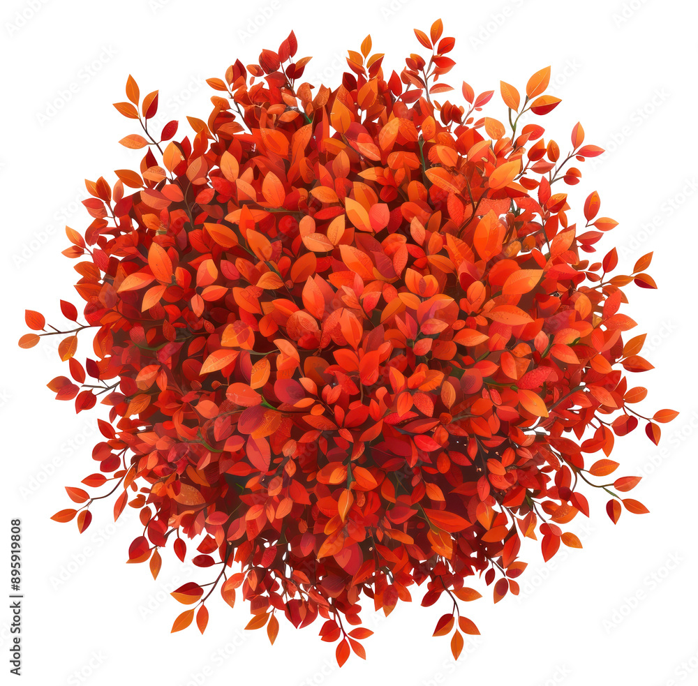 PNG Simple vector of a *fall bush tree*, top view, isolated on white ...