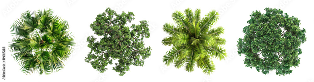 Tree top view png cut out element set Stock Photo | Adobe Stock