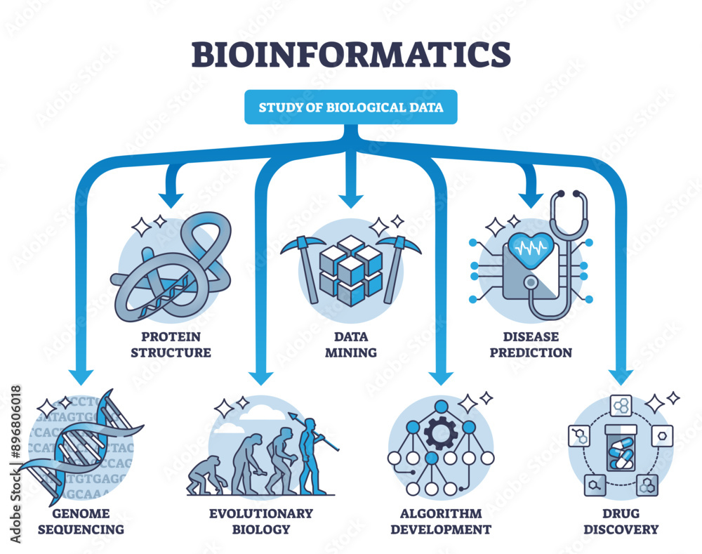 Bioinformatics as study and research of biological data outline diagram ...