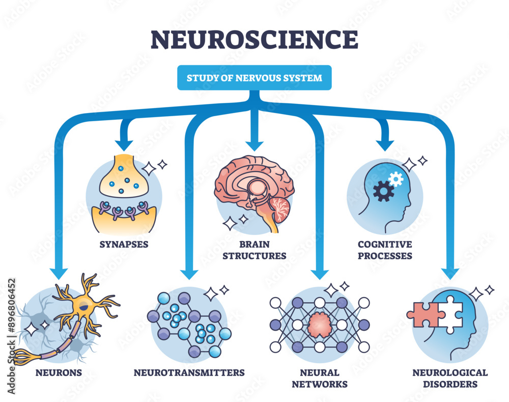 Neuroscience as study of nervous system medical division outline ...