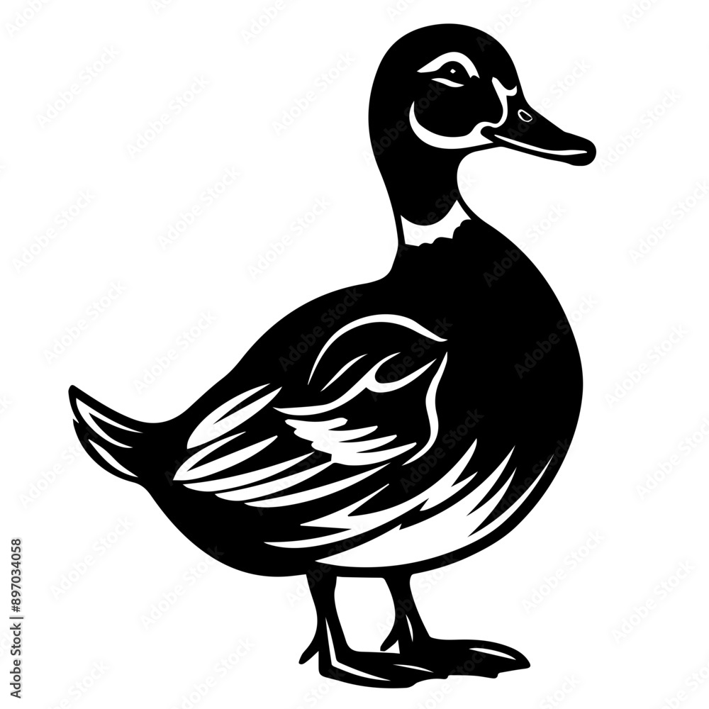 Duck SVG vector transparent background PNG clipart Stock Vector | Adobe ...