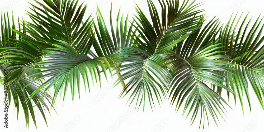 Green palm leaves realistic corner layout on transparent backgrounds 3d ...