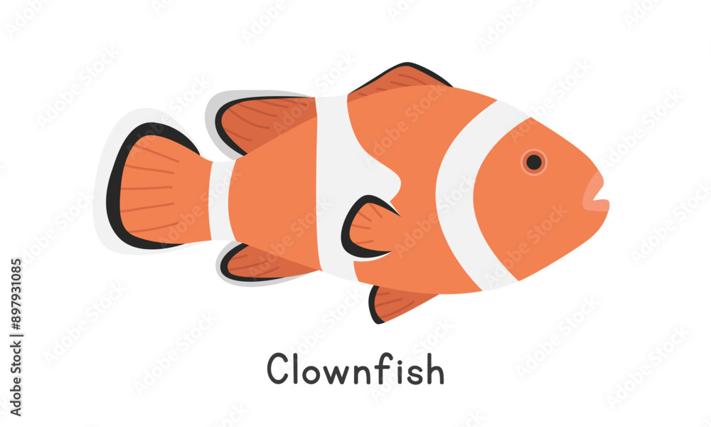 Clownfish vector illustration. Percula clownfish cartoon clipart ...