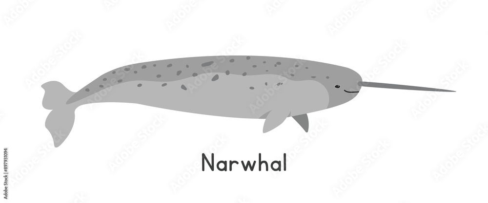 Narwhal vector illustration. Unicorn of the sea cartoon clipart, animal ...