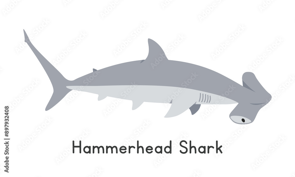 Hammerhead shark vector illustration. Hammerhead shark cartoon clipart ...