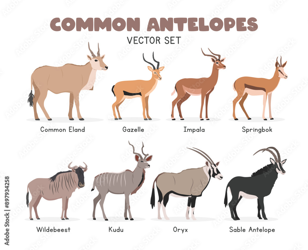 Antelopes vector illustration set. Antelope species cartoon clipart set in flat style. Common ...