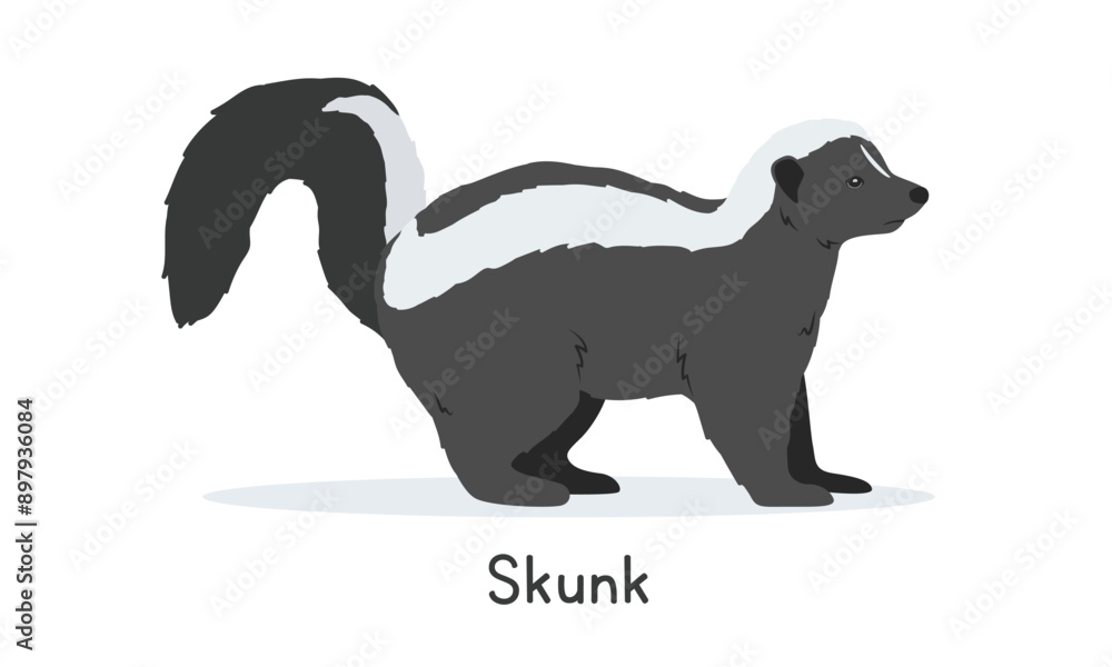 Striped skunk vector illustration, cartoon clipart character, animal in ...