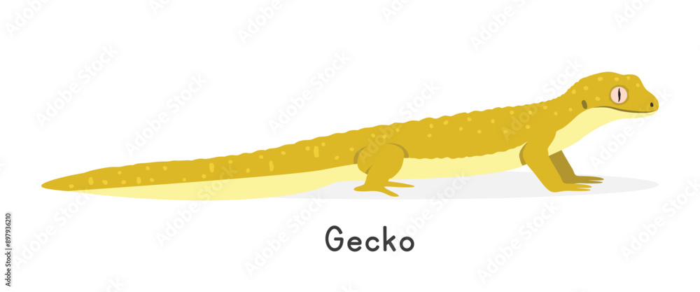 Gecko vector illustration, cartoon clipart character, animal in flat ...