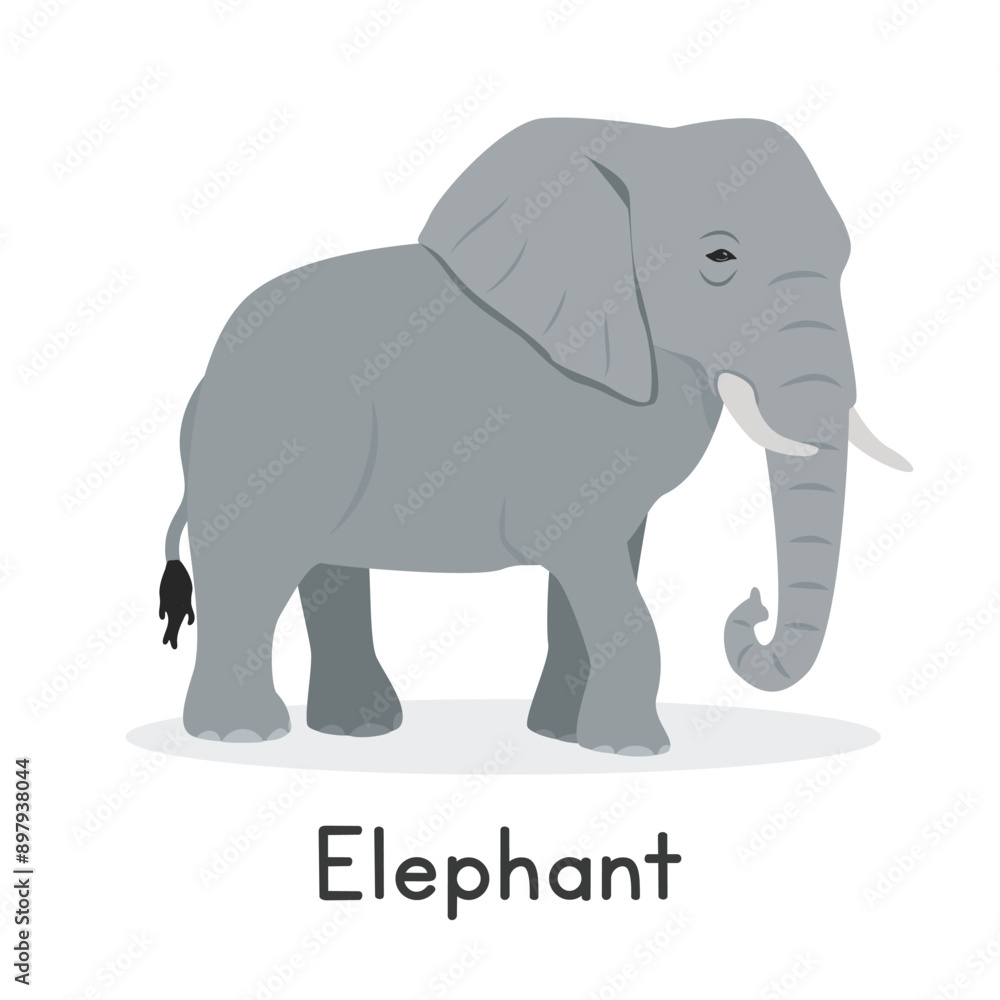 Grey elephant vector illustration, cartoon clipart character, animal in ...