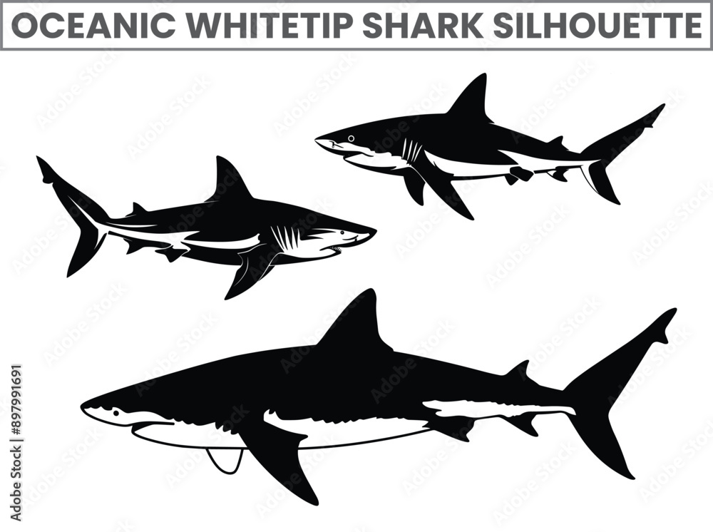 Hand-drawn Oceanic whitetip shark Silhouettes Vector Marine Fish and ...