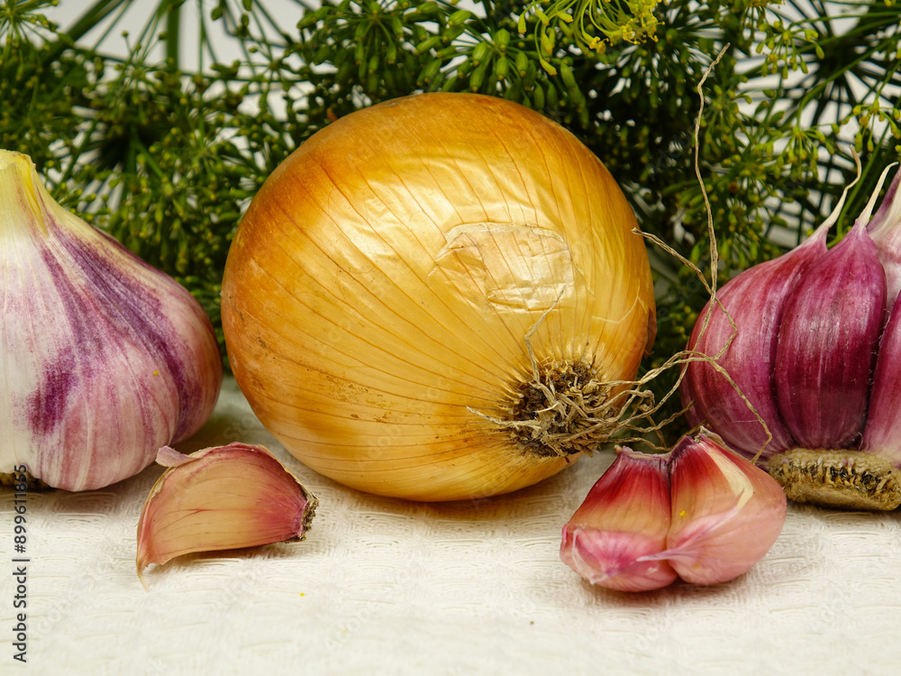 Onion bulbs, heads of garlic, cloves of garlic and heap of green dill ...