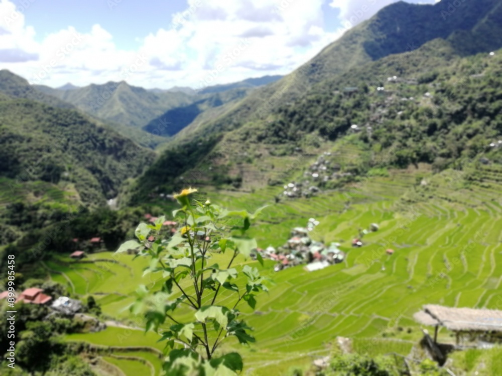 Rice Terraces of the Philippine Cordilleras, rice fields in Banaue ...
