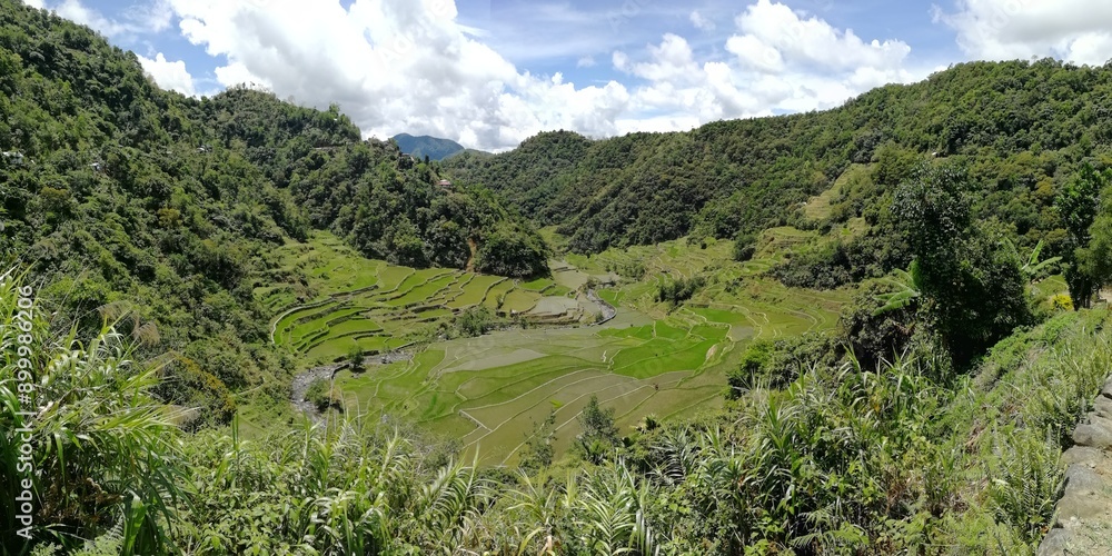 Foto de Stock Rice Terraces of the Philippine Cordilleras, rice fields ...