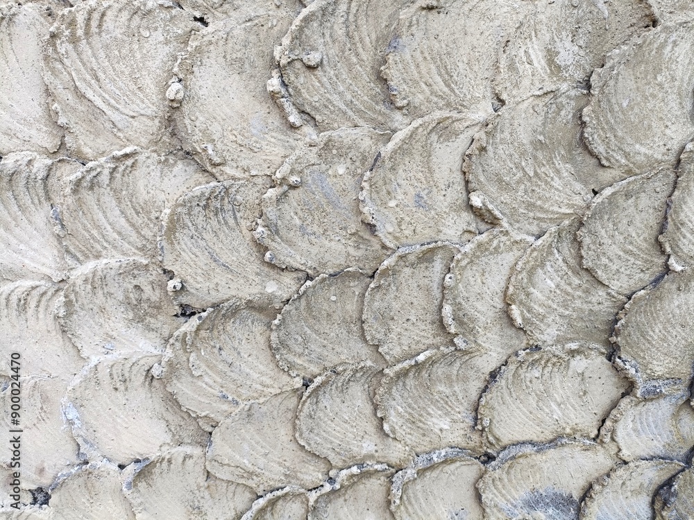 Dirty plaster wall texture with overlapping smears that look like fish ...