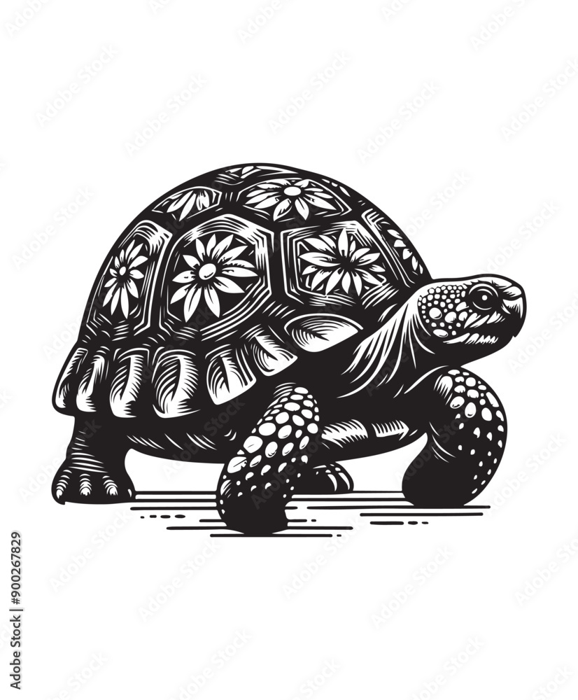 tortoise vector art,graphics tortoises icons set,vintage illustration ...