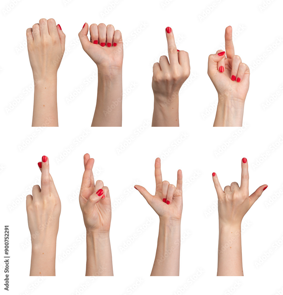 Hand gestures set, sign language isolated on white background ...