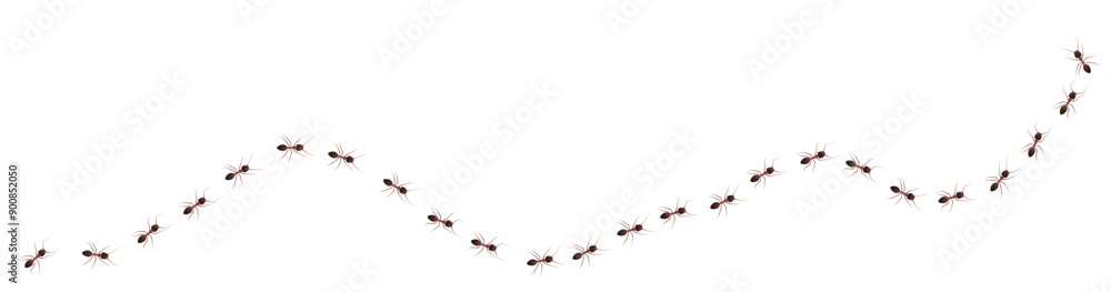 Marching ant colony, insect trail. Vector illustration Stock Vector ...
