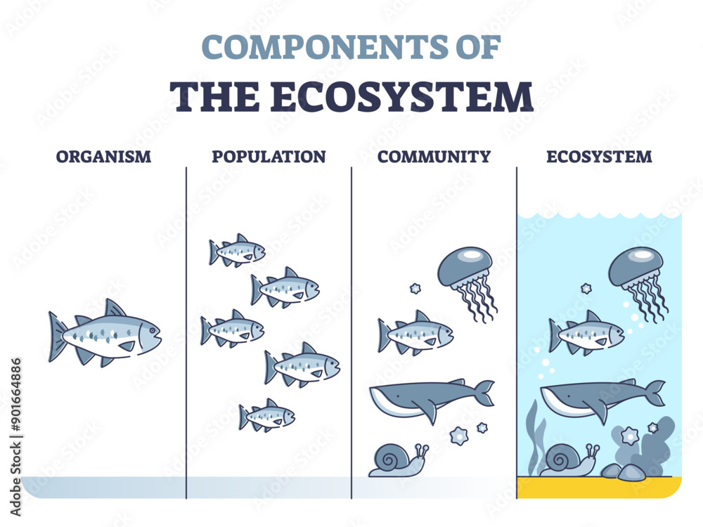 Components of environmental ecosystem with organism, population and ...