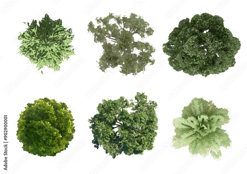 collection of tree plan, Tree Top View with transparent background. set ...