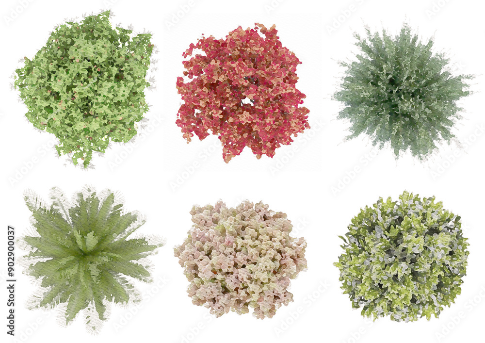 collection of tree plan, Tree Top View with transparent background. set ...