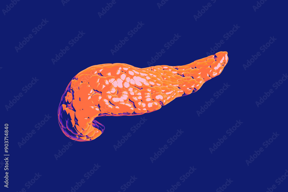 Pancreas, a vibrant orange organ is essential for digestion and blood ...