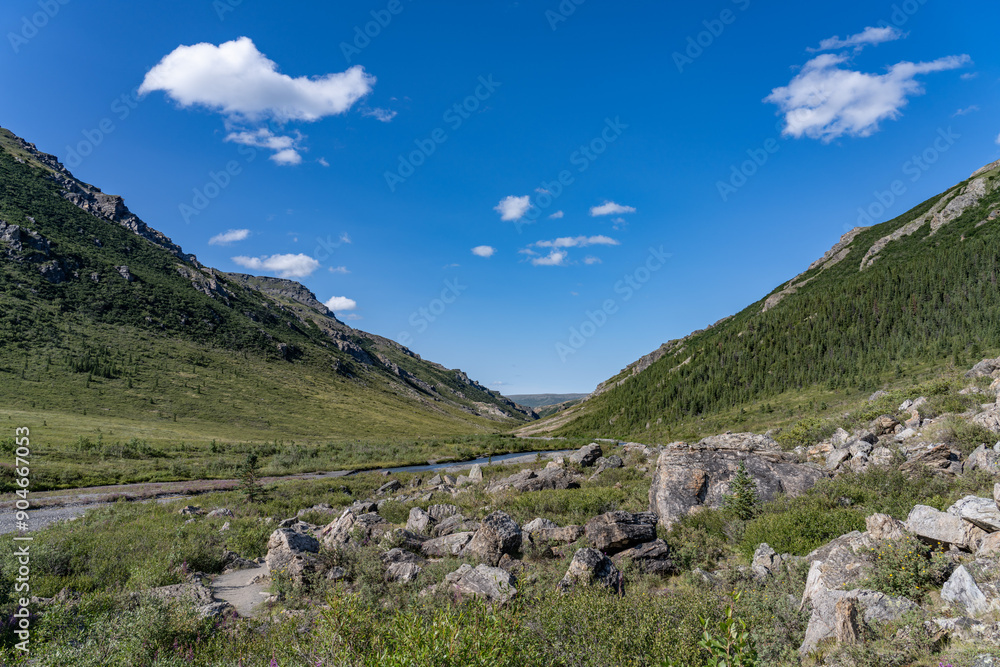 mica-quartz schist / Yukon-Tanana Terrane bedrock, Savage River canyon ...
