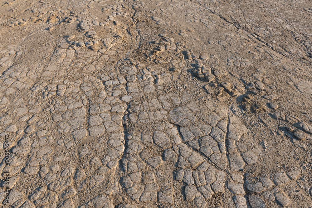 Dried mud texture. Dried mud waves from the mud volcanos site in Berca ...