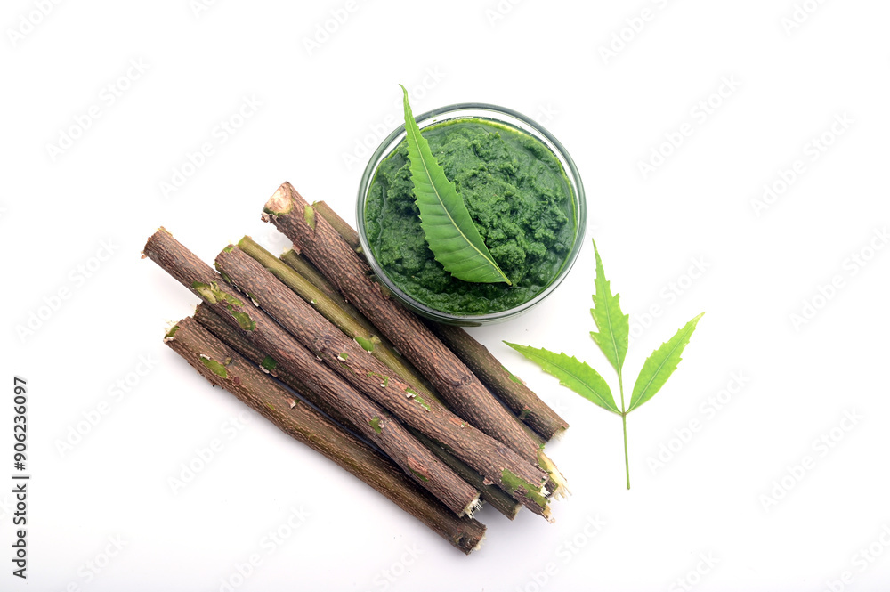 NEEM STEM WITH NEEM PASTE. Stock Photo | Adobe Stock