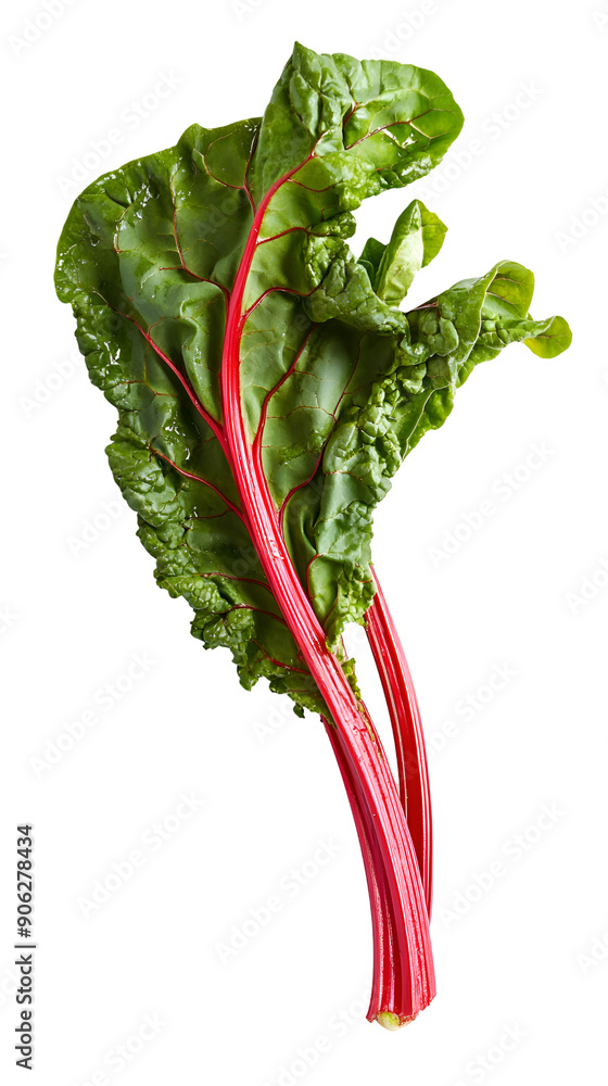 Falling Curly Swiss Chard isolated on white background, full depth of ...