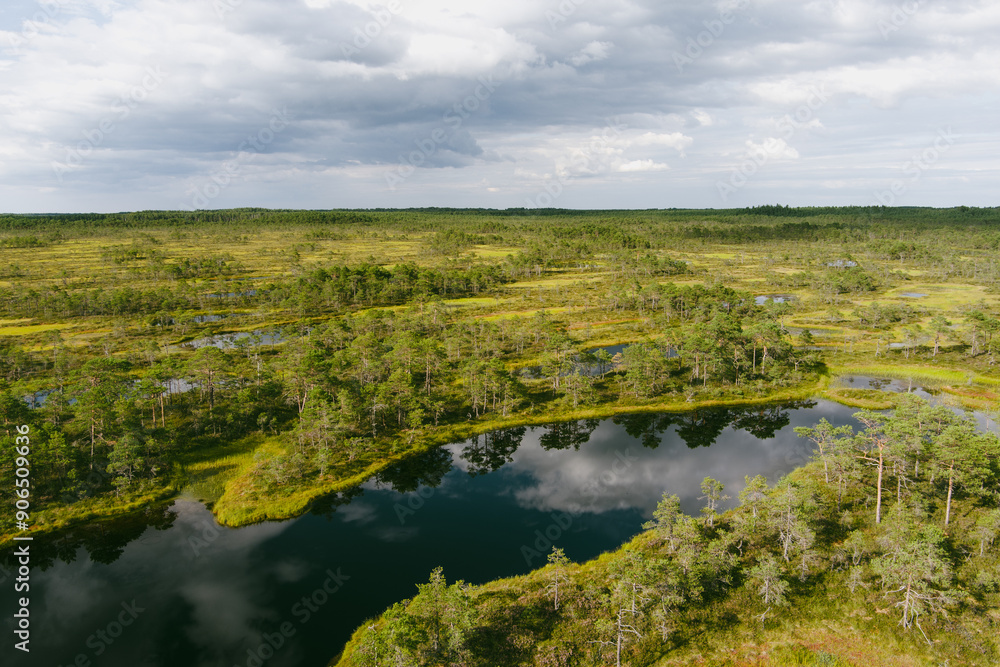 Foto Aerial view of Seli Bog, dotted with pine trees, hollows and pools ...