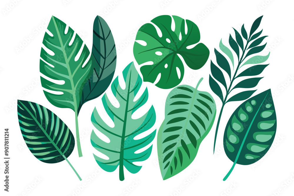 Collection of Various Green Tropical Leaves Stock Vector | Adobe Stock