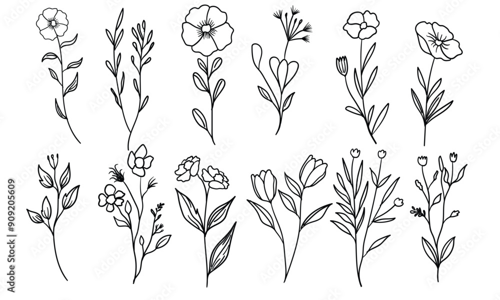 Hand-Drawn Wildflower Line Art Collection. Black and White Botanical ...
