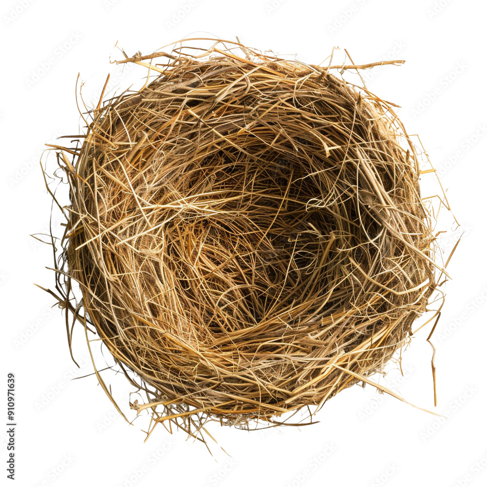 Bird straw nest clip art Stock Photo | Adobe Stock