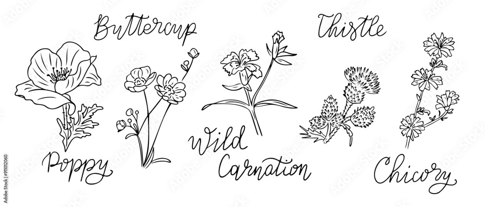 Wild flowers contour doodle set with monoline calligraphy. Monochrome ...