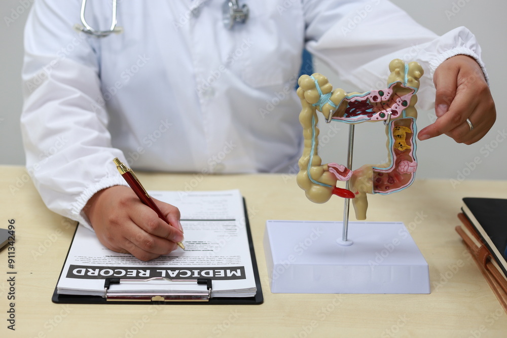 The intestine, comprising the small and large intestines, is a long ...