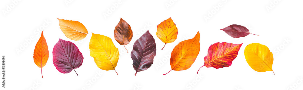 Realistic colorful autumn leaves border isolated on transparent ...
