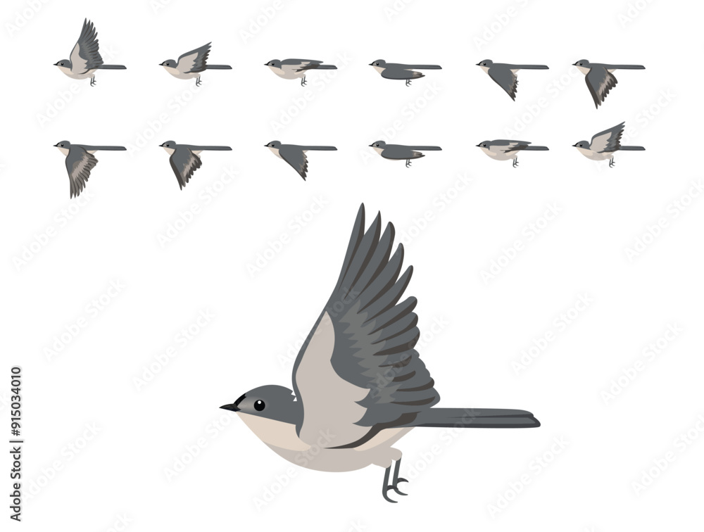 Tufted Titmouse Bird Flying Animation Sequence Cartoon Vector Stock ...