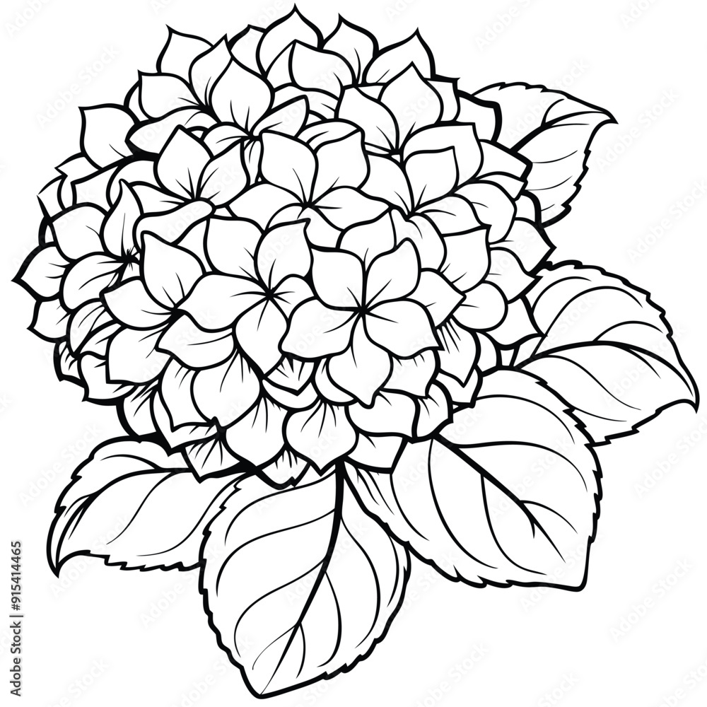 Hydrangea Flower Bouquet outline illustration coloring book page design ...