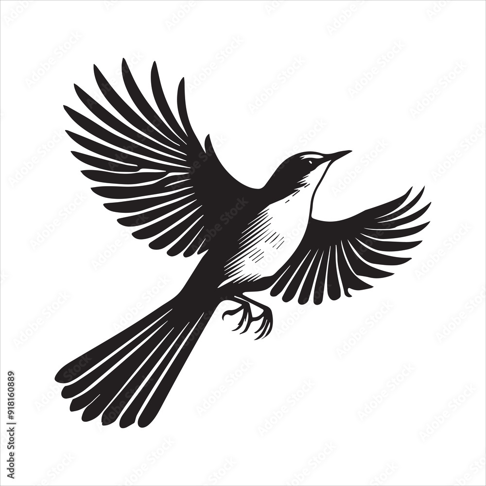 Northern mockingbird Clipart, Northern mockingbird silhouette, Bird illustration in black and ...