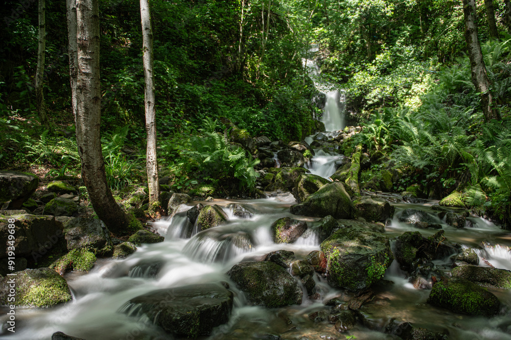 Amicalola Falls in the North Georgia mountains in spring. Georgia ...