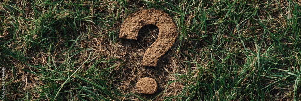 Gardening Questions: Identifying Lawn Disease - Grub Damage vs Chinch ...