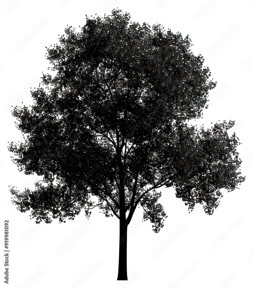 PNG graphics *tree outline* symbol for architecture and landscape ...