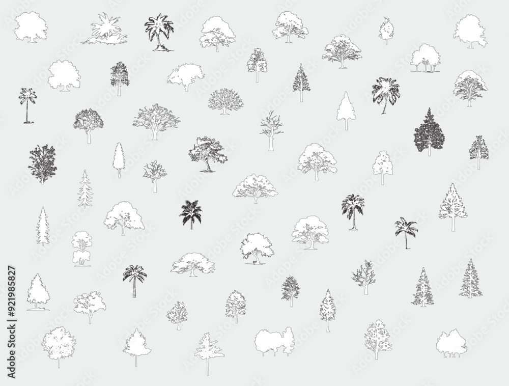 Vector de Stock Minimal style cad tree line drawing, Side view, set of ...