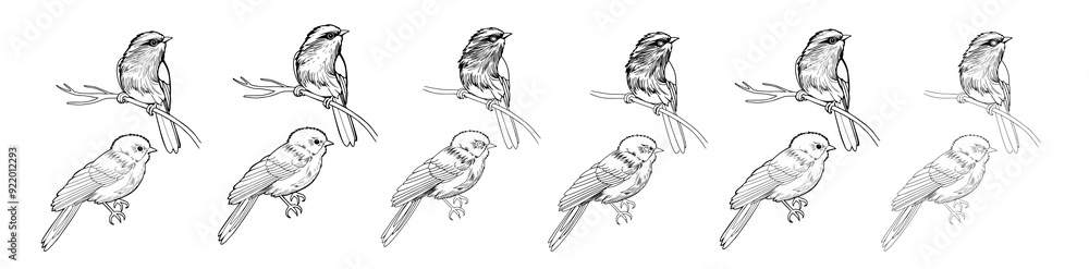 Set Line Clip Art Birds coloring book page various illustration cute ...