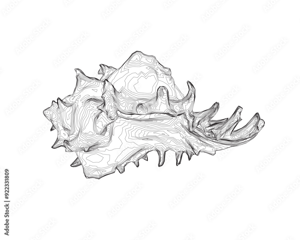 Outline spiral conch sea shell, sketch style vector illustration ...