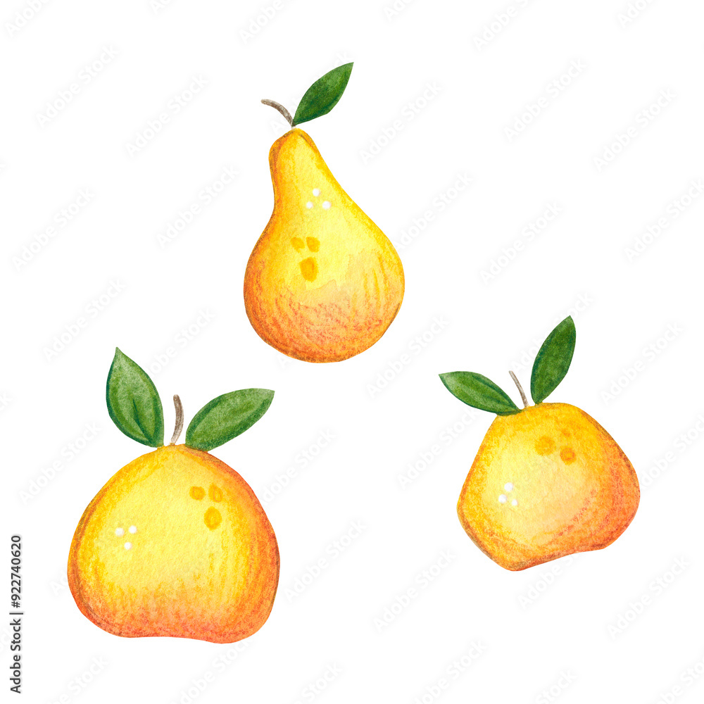 A set of two yellow apples and a pear on a white background. Hand drawn ...