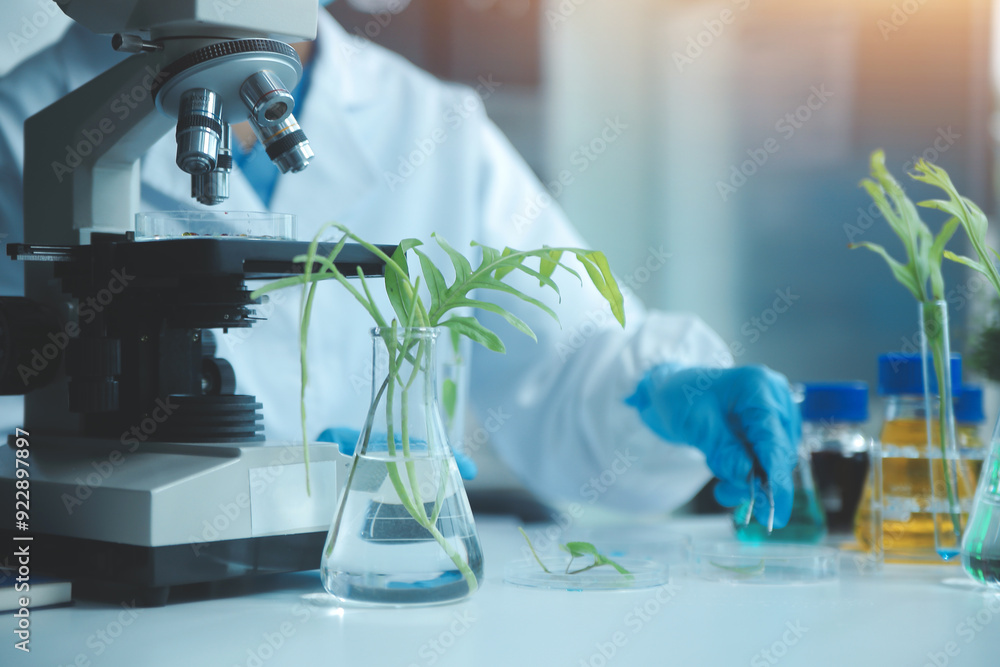 Scientist cutting plant tissue culture in petri dish, performing ...