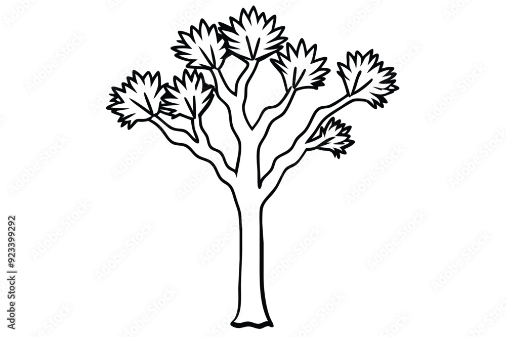 Joshua tree vector illustration Stock Vector | Adobe Stock
