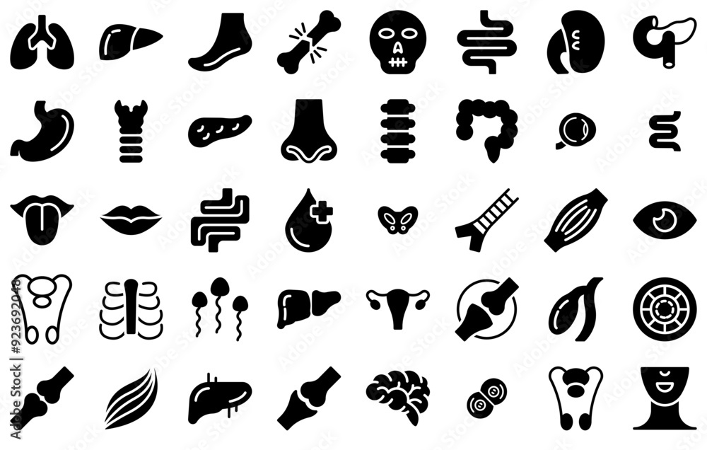 Mega Set Of Vector Human Organs K Line Icons Silhouette Vector Logo ...